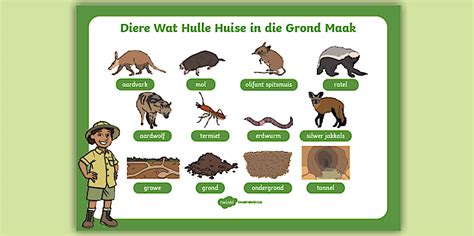 Diere Wat Hulle Huise In Die Grond Maak Woordmat Twinkl