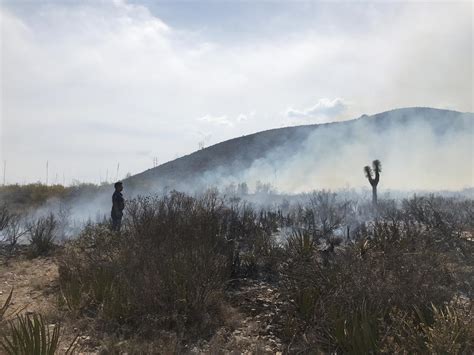Activos Dos Incendios Forestales En Slp