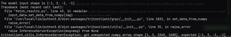 Dynamic Input Shape Handling In Triton Issue 5752 Triton Inference