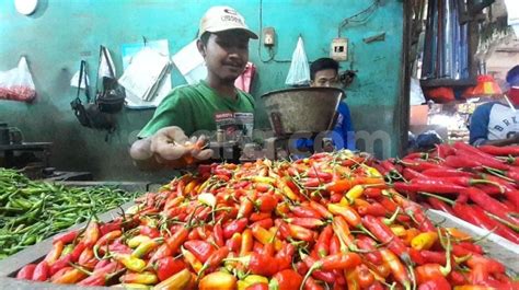 Harga Cabai Rawit Hingga Bawang Merah Siap Siap Meroket Malay News