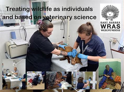 East Sussex Wildlife Rescue Causes Unity Lottery