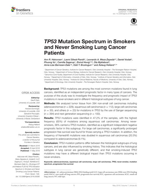 Pdf Tp53 Mutation Spectrum In Smokers And Never Smoking Lung Cancer Patients