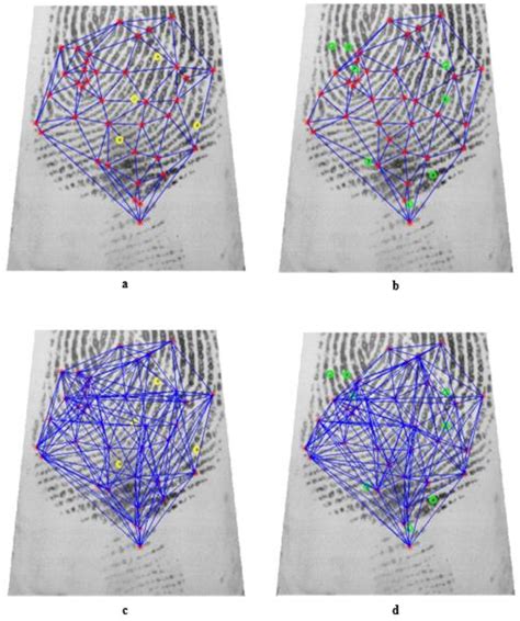 Figure 4 From A Comparison Of 2d And 3d Delaunay Triangulations For