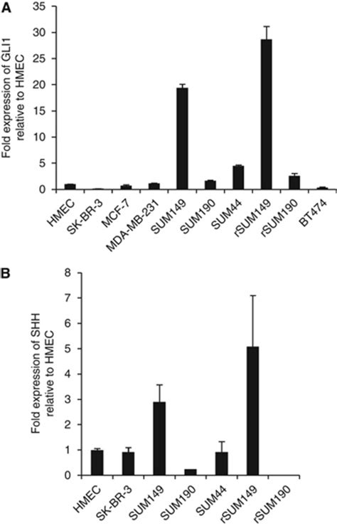 Gli1 And Shh Expression In Ibc And Non Ibc Cell Lines Total Rna 1 μg