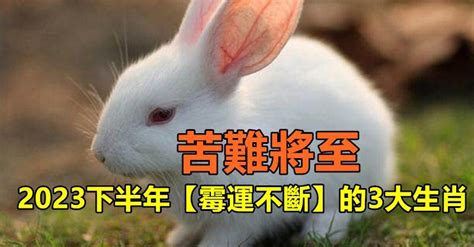 犯沖太歲！2023下半年「霉運不斷」的3大生肖 恐被「疾病纏身」財運受損 人生move On