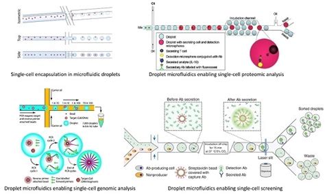 Molecules Free Full Text Development Of Droplet Microfluidics