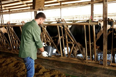 Trabajadores Para Rancho Ganadero Experiencia