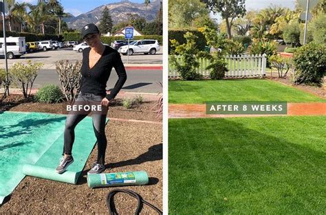 Biodegradable Grass Seed Mat Artofit
