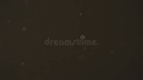 Real Dust Particles Floating Over Black Background Stock Footage Video Of High Elements