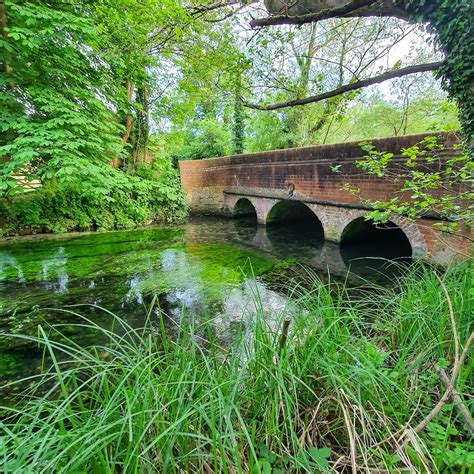 Recreation Ground Old Basing And Lychpit Parish Council