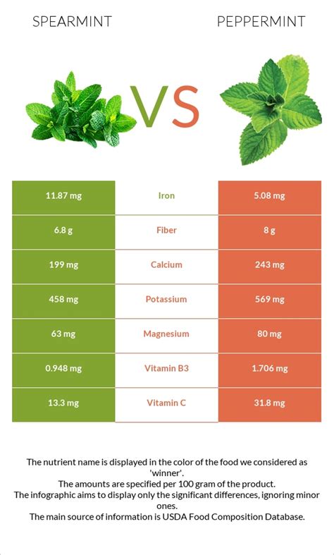 Spearmint Vs Peppermint — In Depth Nutrition Comparison