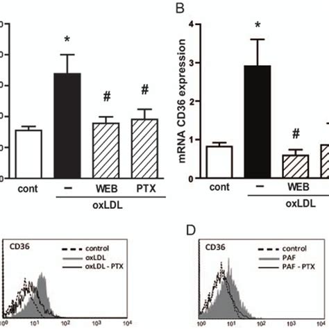 PI3K Akt Pathway Is Required For OxLDL Induced Upregulation Of CD36