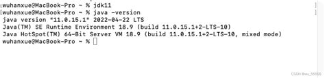 Mac Pro M1arm安装：jdk｜java｜动态切换jdk版本jdk Arm版本 Csdn博客