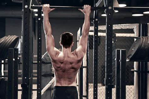 11 Push-Up/Pull-Up Workouts for Upper Body Muscle Gains – Fitness Volt