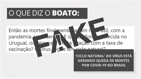 Vídeo É Fake Que Queda De Mortes Por Covid No Brasil Seja Por Causa
