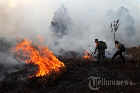 Kebakaran Hutan Dan Lahan Kembali Terjadi Di Pekanbaru Foto 3 1835133