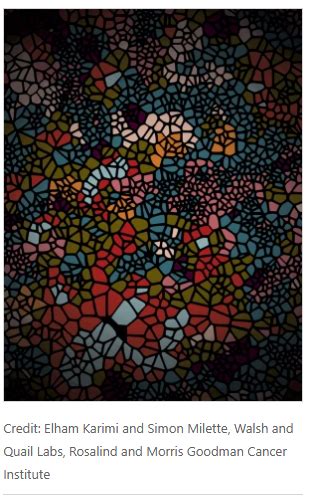 News In Proteomics Research Natures Method Of The Year 2024 Is