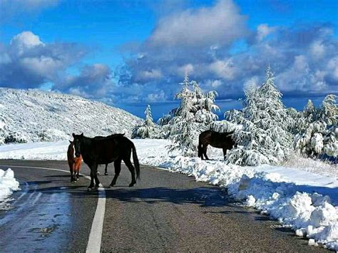 Maghrebika Power Added A New Photo Maghrebika Power