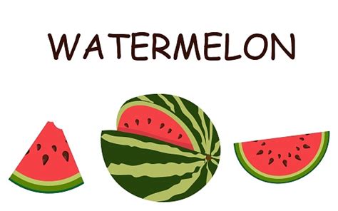 Stock Ilustrace Sada Vektorových Ilustrací Plochého Melounu Celý Meloun