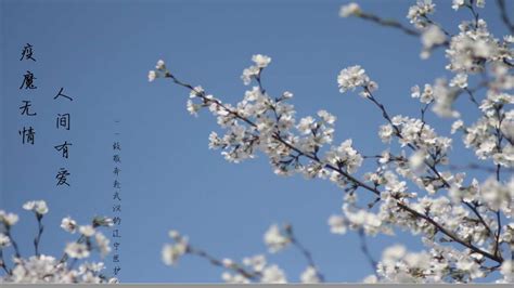 辽大中软定制班“共抗疫情，我们在行动 致敬最美逆行者”线上ppt大赛 知乎