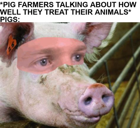 Pig Rule R196