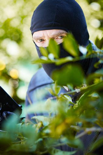 Pria Bertopeng Memegang Pistol Bersembunyi Di Balik Dedaunan Tampak Tidak Menyenangkan Foto Stok