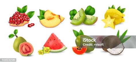 이국적인 과일 세트 사실적인 디자인 벡터 일러스트 레이 션 수박에 대한 스톡 벡터 아트 및 기타 이미지 수박 스타프룻 구아바 Istock