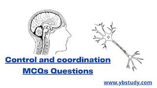 Control And Coordination Class MCQ With Answers Pdf YB Study