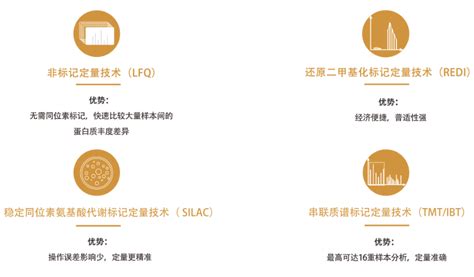 常规蛋白质组学分析 核心业务 南京科络思生物科技有限公司