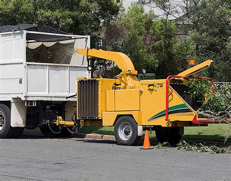 Tree Mulching Services Sydney