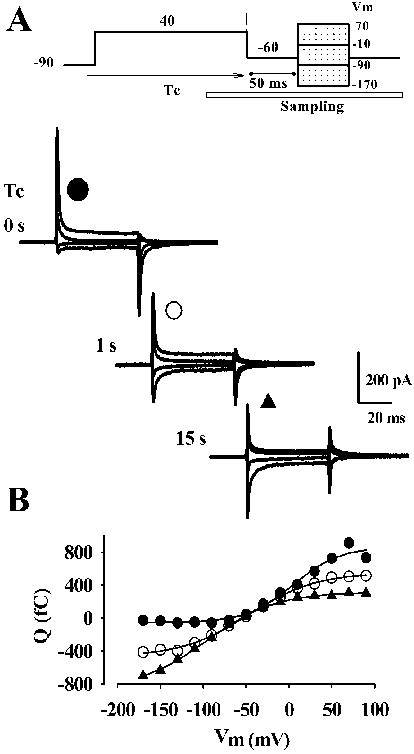 Voltage Shift Of The Gating Charge Upon Inactivation A Gating Download Scientific Diagram
