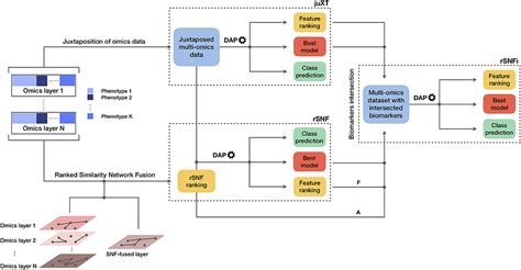 frontiers integrative network fusion a multi omics approach in