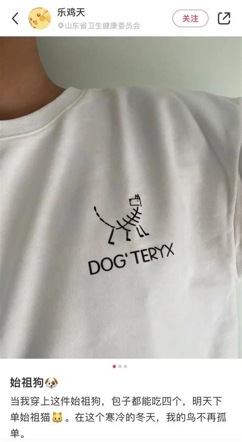 爆改始祖鸟logo，网友神操作火了 广告狂人