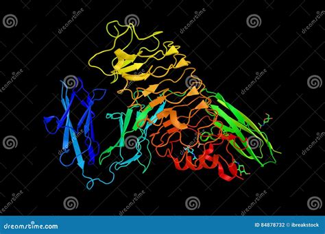 Slit And Ntrk Like Protein 1 An Integral Membrane Protein Stock