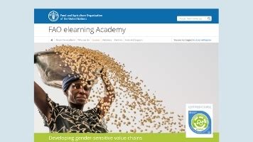 Nutrition Sensitive Value Chains Nutrition Food And Agriculture