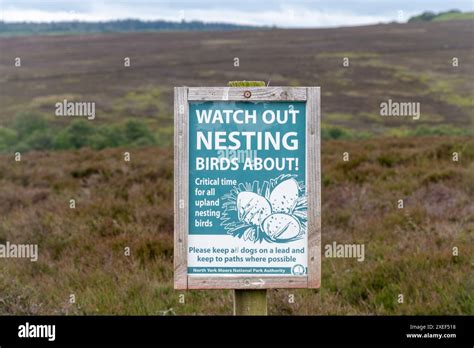 Nesting Birds Sign By The North York Moors National Park Authority
