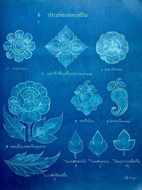 ภาพวาดดอกไม้และชื่อภาษาไทย