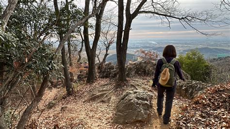栃木の里山は楽しいなぁ【大小山、妙義山、西場富士】 20240103 Zizibabaのトレッキングと彼是