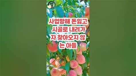 사업망해 돈잃고 시골로 내려가자 찾아오지 않는 아들 Youtube