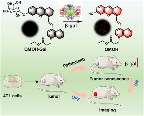 Smart Molecules Vol 3 No 1