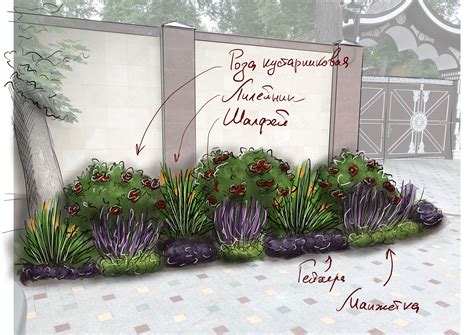 Цветник план