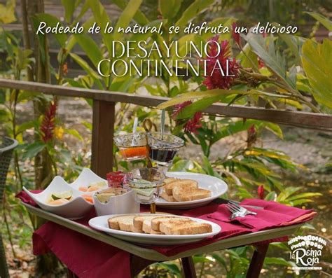 Restaurante 🌿 Vive La Experiencia De Comer Rodeado De Naturaleza