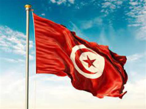 Tunisia Freedom Of Expression Is In Jeopardy
