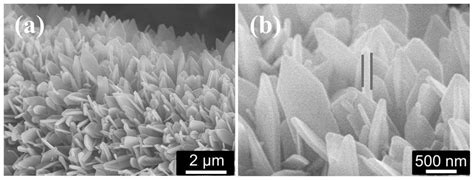 Nickel Cobaltate Nanosheet Array Composite Material Derived From Carbon Cloth Surface Modified