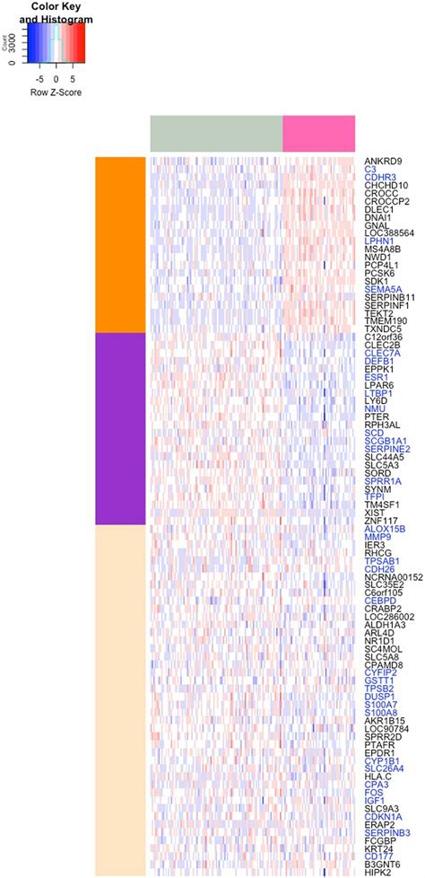 Heatmap Showing Expression Profiles Of The 90 Genes Constituting The