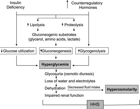 Hyperosmolar Hyperglycemic State A Historic Review Of The Clinical