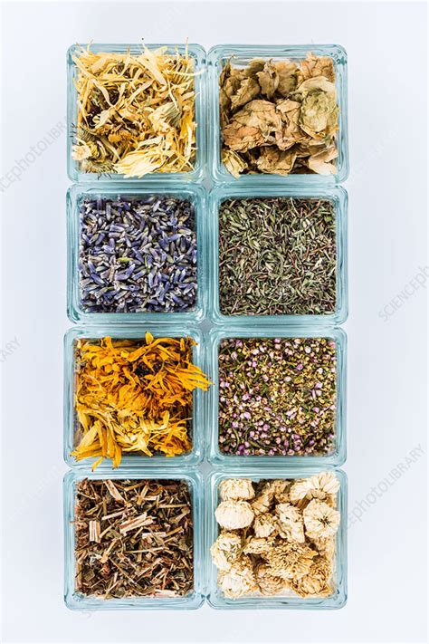 Phytotherapy - Stock Image - C034/6844 - Science Photo Library