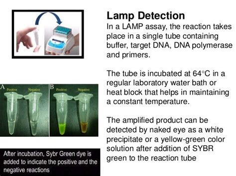 Loop Mediated Isothermal Amplification