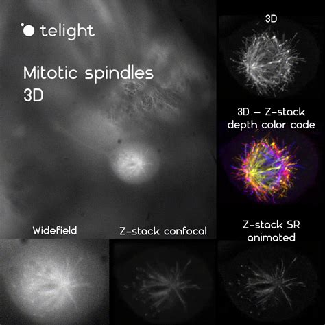 Telight Solutions For Super Resolution Microscopy