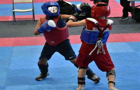 Reglas Nacionales de MMA Amateur Juvenil 2023 Federación Madrileña de